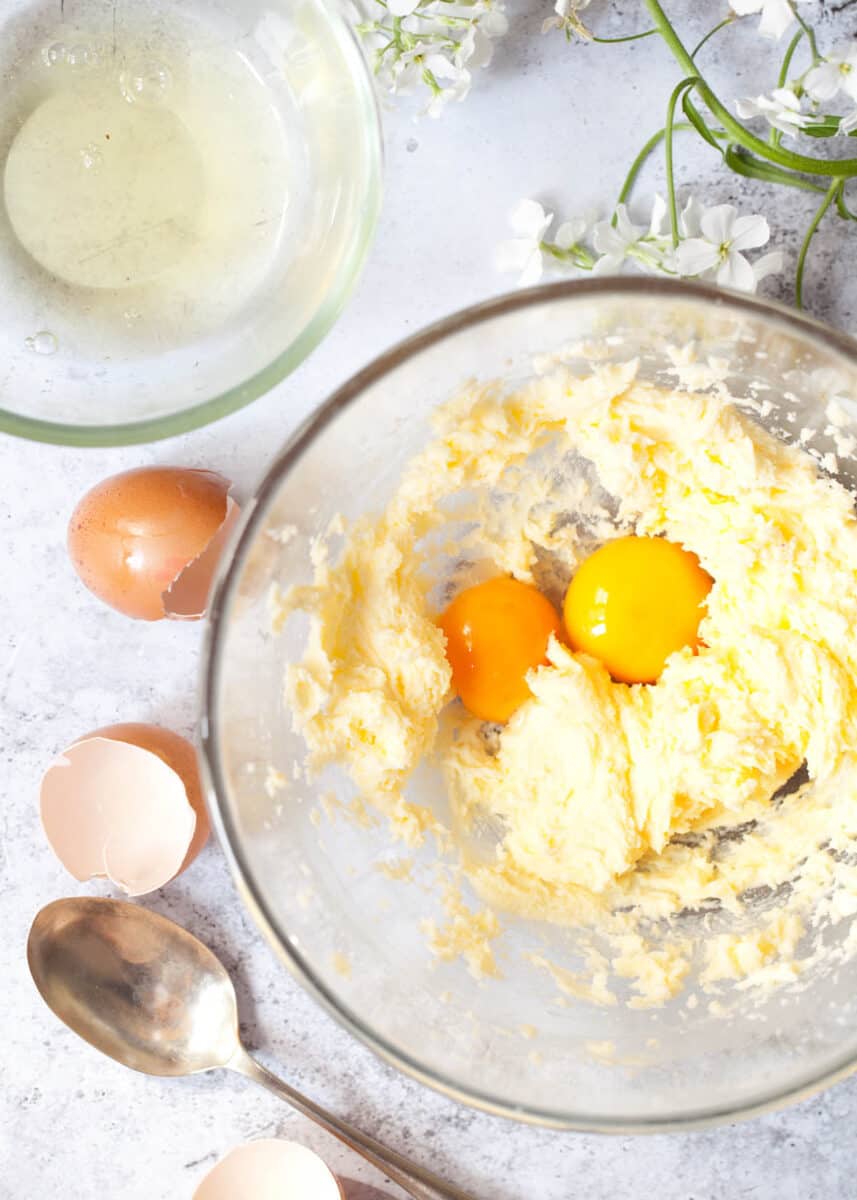 Easy Chocolate Sponge Cake - Little Sugar Snaps