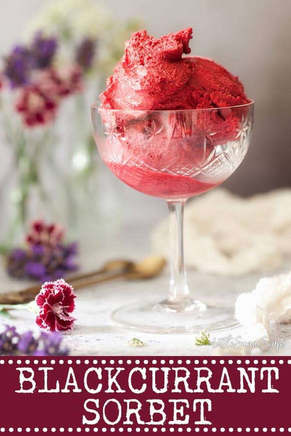 Blackcurrant Sorbet - Little Sugar Snaps