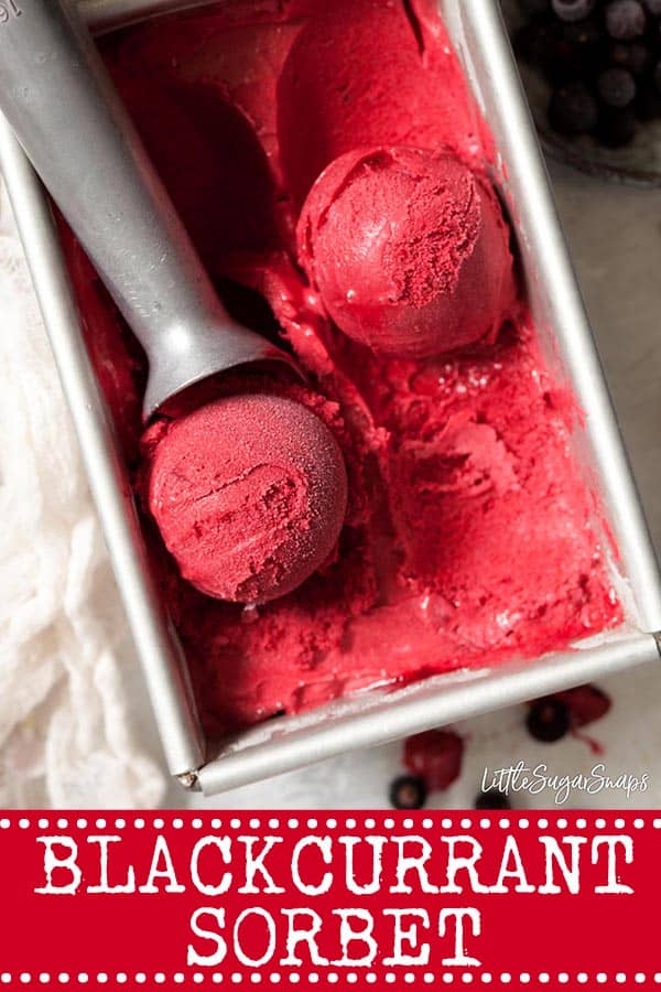 Blackcurrant Sorbet - Little Sugar Snaps