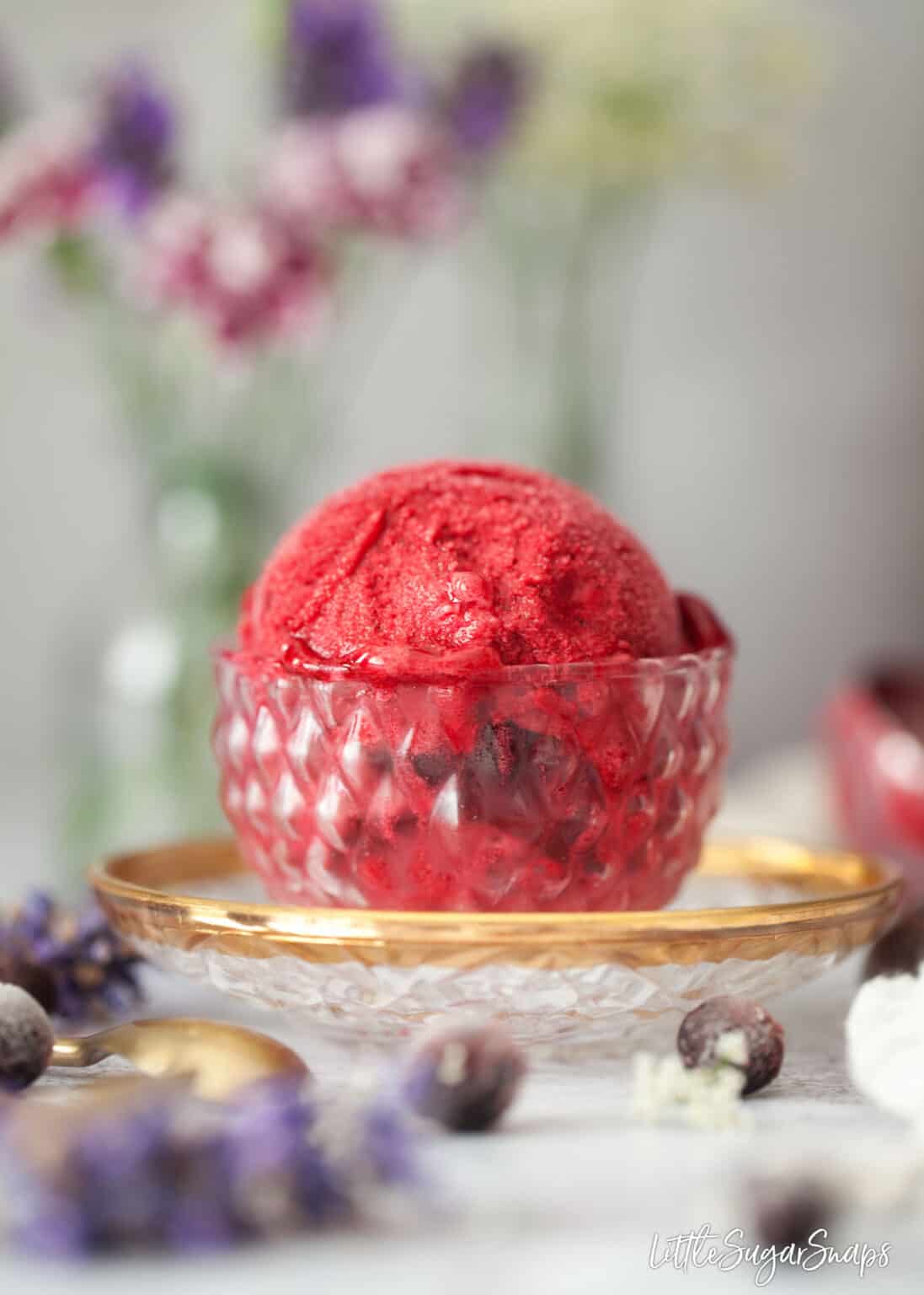 Blackcurrant Sorbet - Little Sugar Snaps