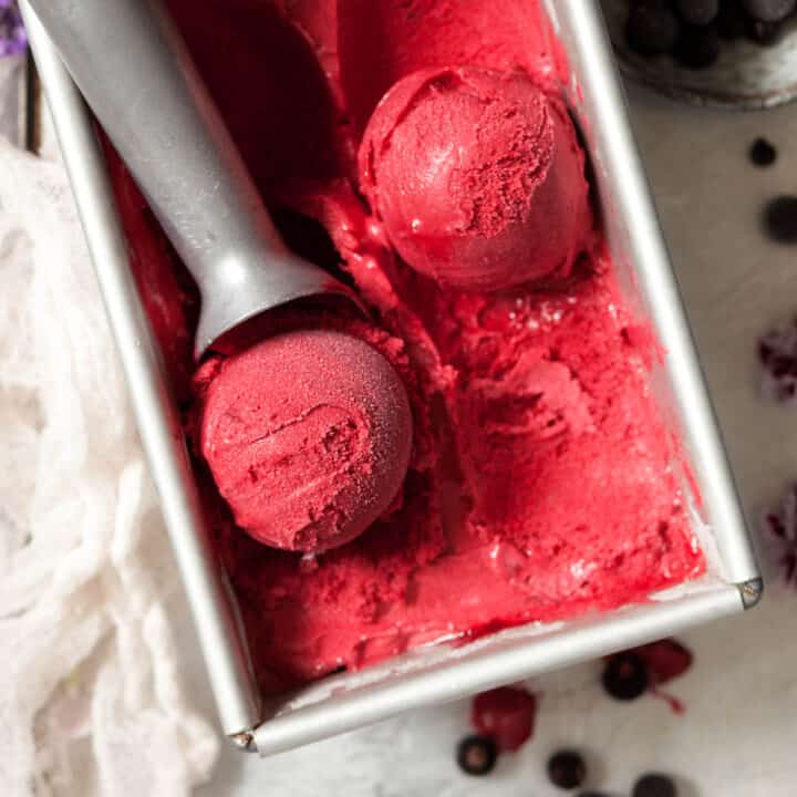 Blackcurrant Sorbet - Little Sugar Snaps