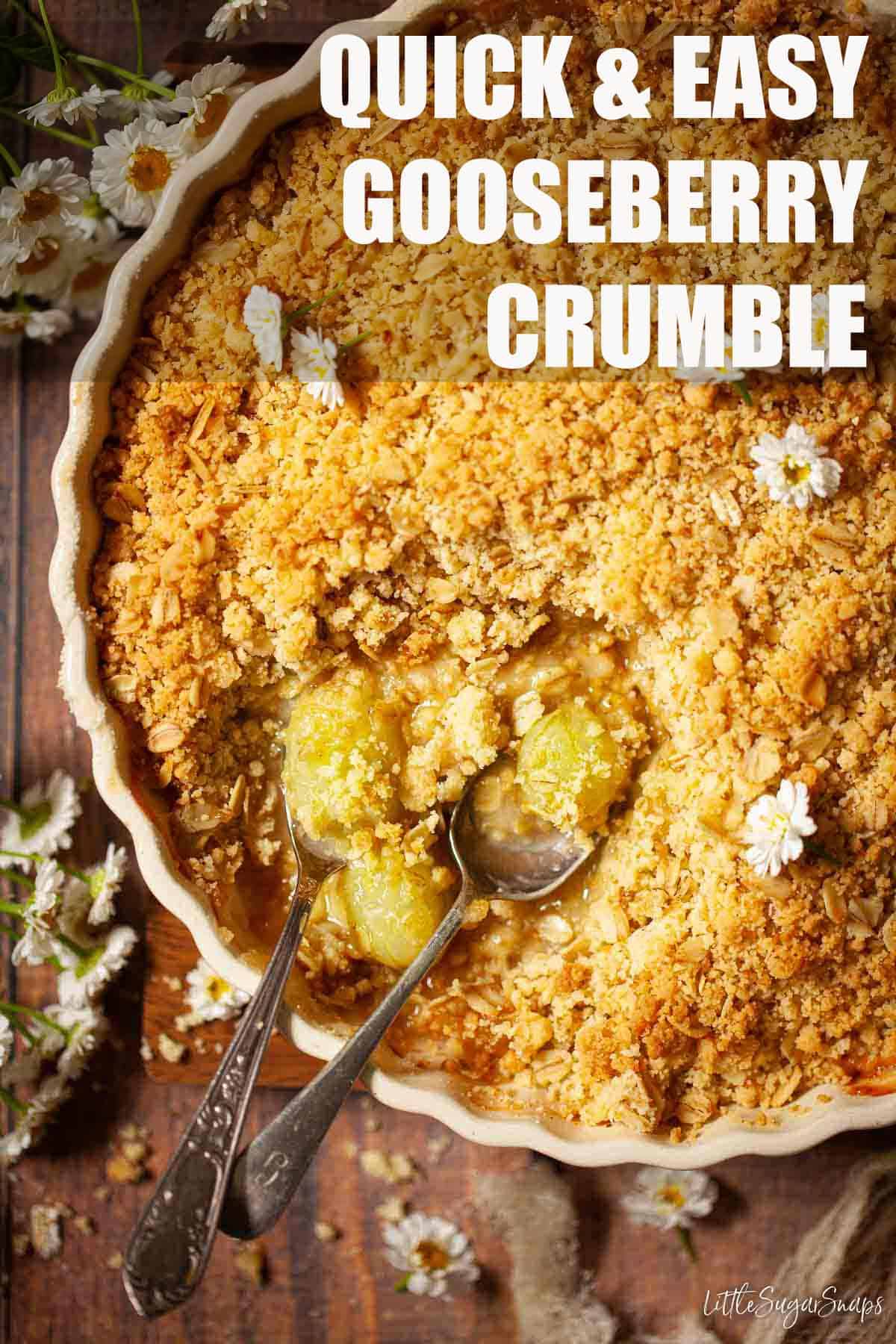 Gooseberry Crumble - Little Sugar Snaps