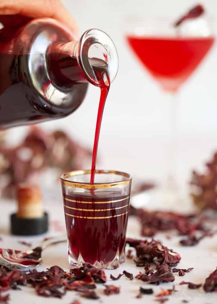 Hibiscus Syrup for Cocktails - Little Sugar Snaps