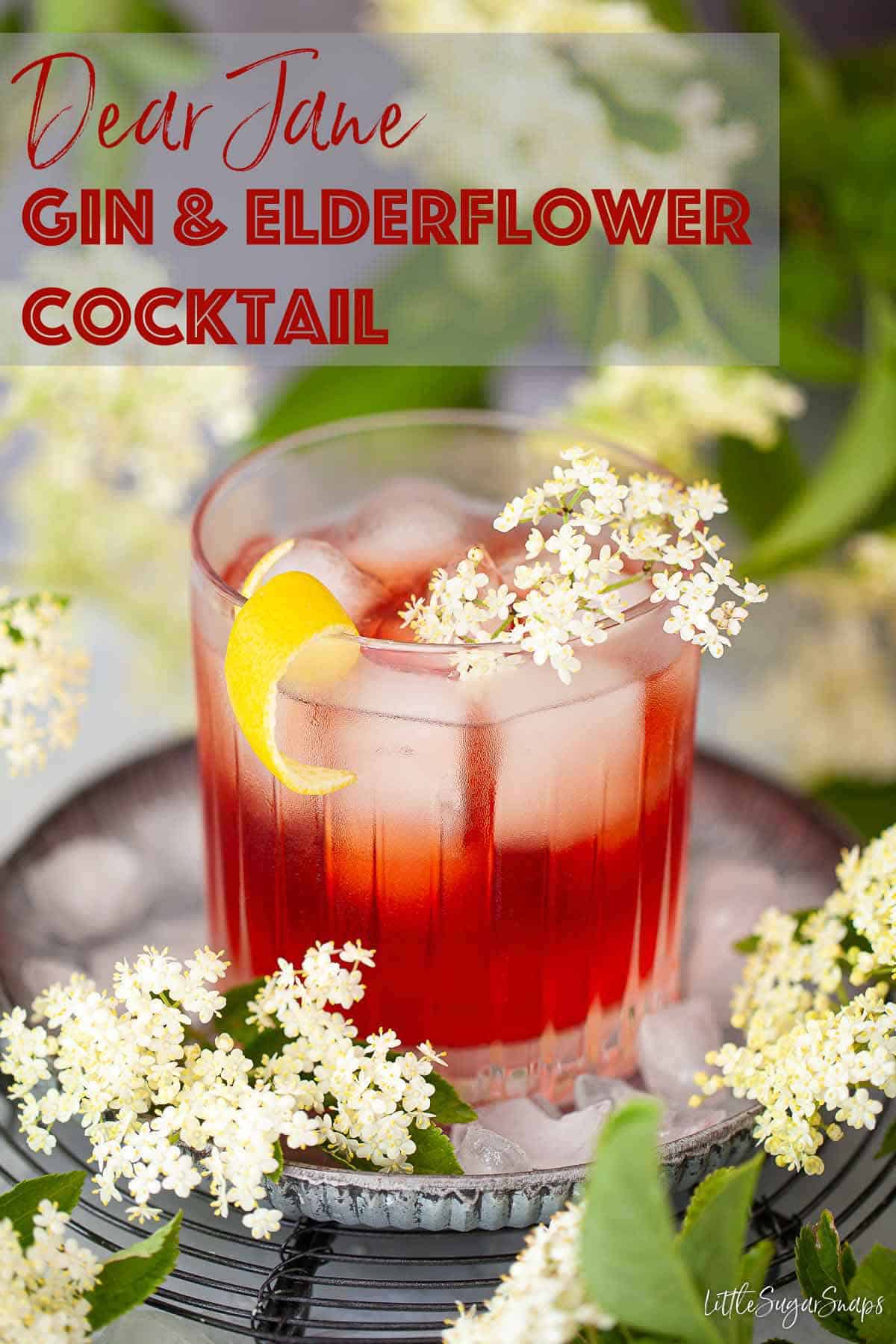 Dear Jane Cocktail - A Gin and Elderflower Cocktail - Little Sugar Snaps